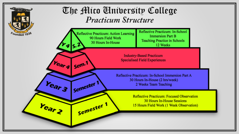 Executive Masters in Educational Management – Practicum - The Mico ...